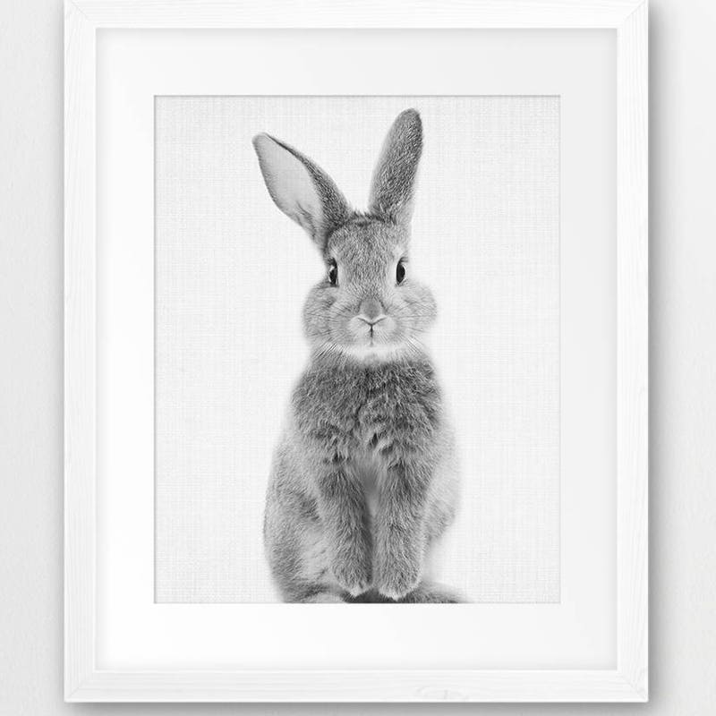 Cute Bunny Print - Etsy