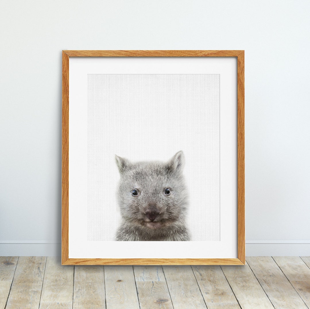 Wombat Print, Wombat Wall Art, Baby Animals Poster, Australian Animals ...