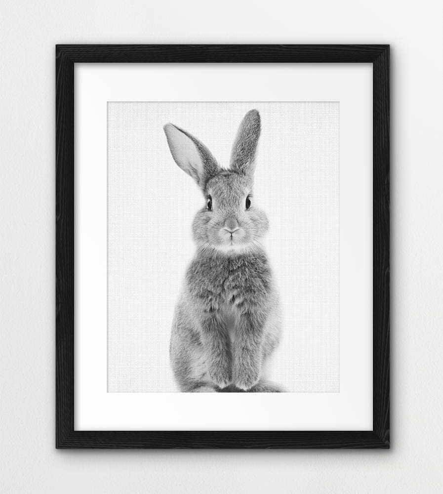Rabbit Print Nursery Animal Wall Art Woodlands Animals | Etsy