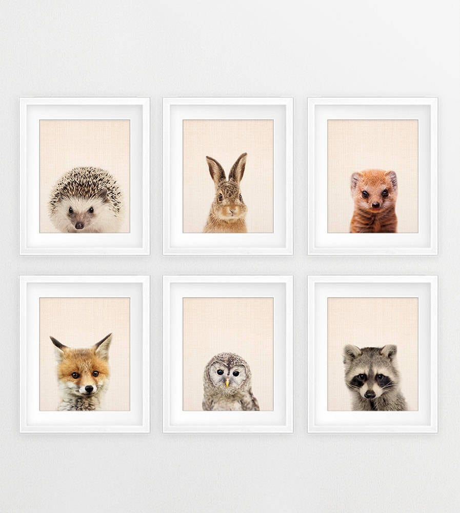 Woodland Nursery Decor, Baby Animals Set 3, Bunny, Fox, Raccoon ...