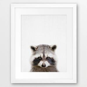 Raccoon Print, Woodlands Nursery Wall Art, Baby Raccoon Poster, Forest ...