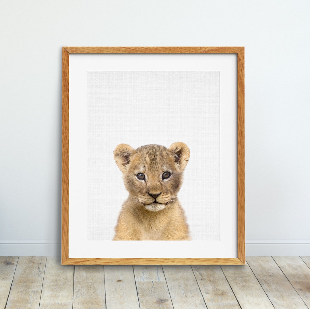 Lion Print, Cub Lion Print, Safari Animals Decor, Baby Lion Poster ...
