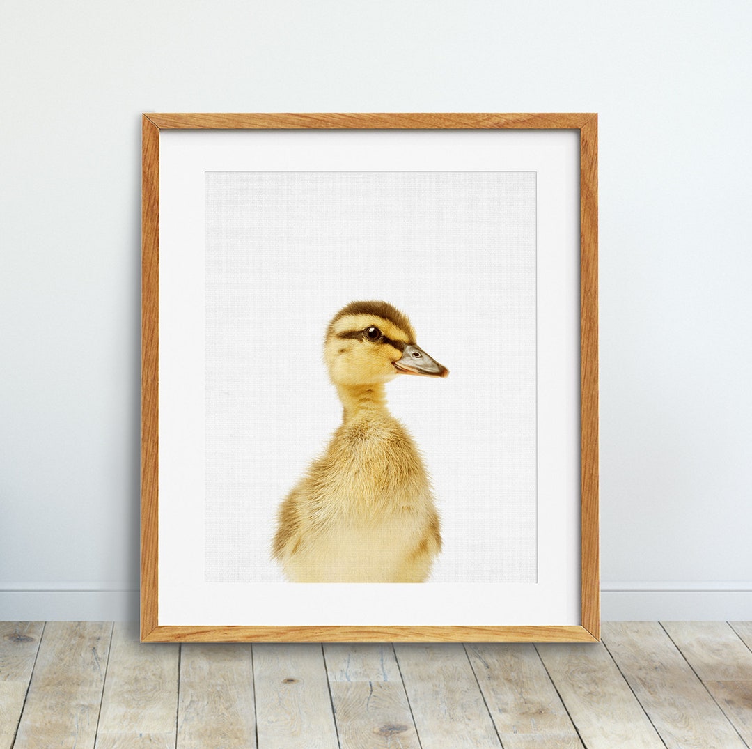 Duckling Print, Nursery Animals Decor, Baby Animals Wall Art, Duckling ...