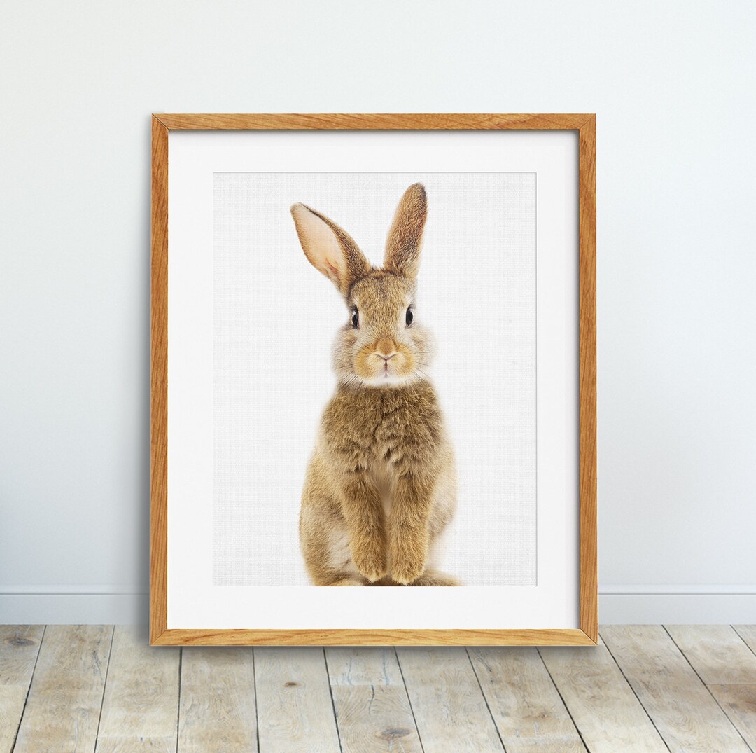Rabbit Print, Nursery Animals Wall Art, Baby Room Prints, Woodlands ...