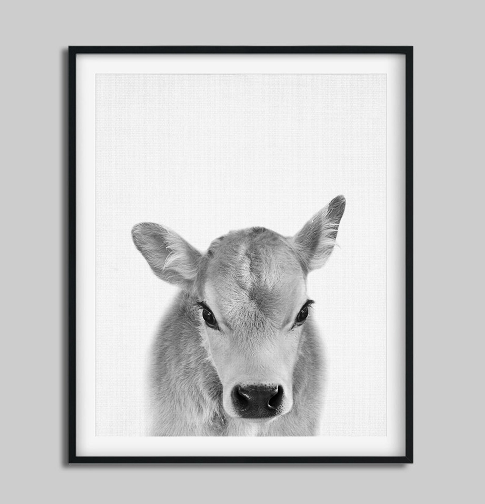 Calf Print, Baby Cow, Nursery Farm Animal Wall Art, Black and White ...
