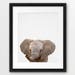 Elephant Print Baby Elephant Photo Safari Animal Wall Art - Etsy