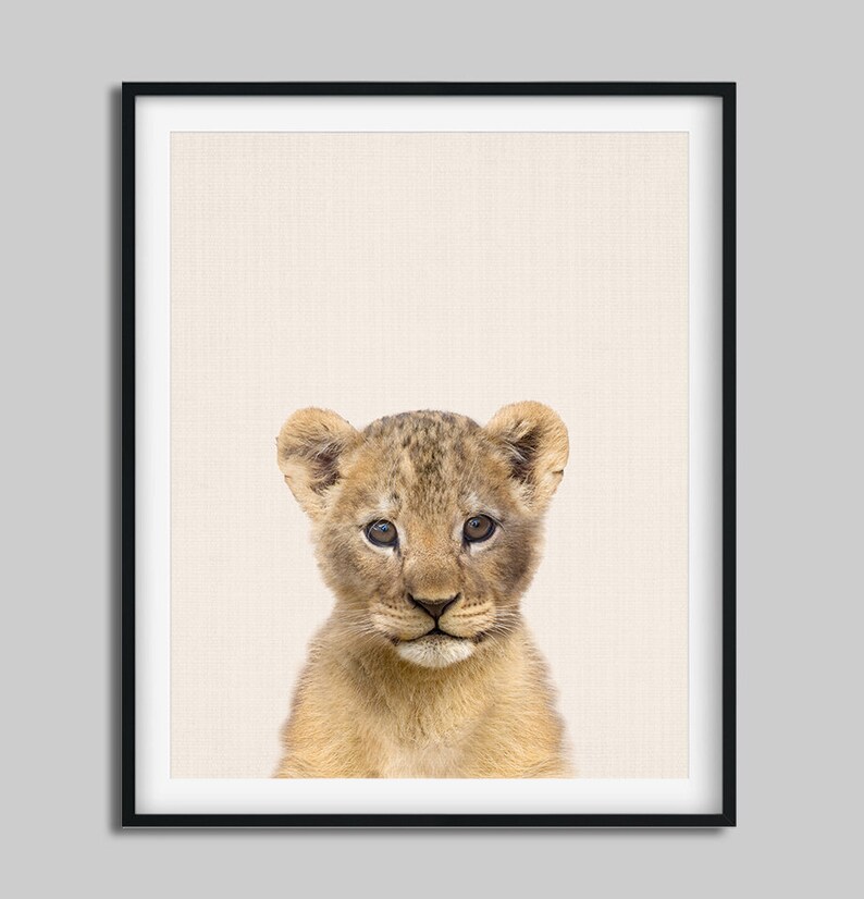 Lion Cub Print Nursery Wall Art Safari Nursery Animals Baby | Etsy
