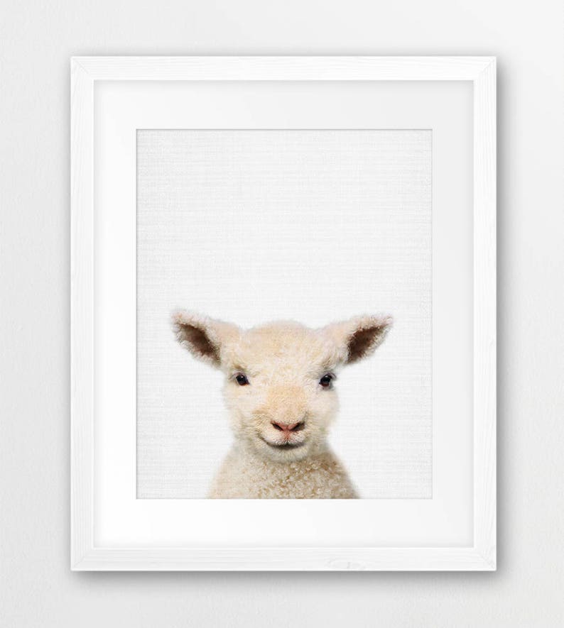 Lamb Print Nursery Animal Wall Art Farm Animal Poster Etsy lamb-print-nursery-animal-wall-art-farm-animal-poster-etsy
