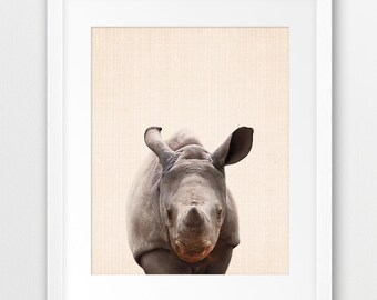 Elephant Print Baby Elephant Photo Nursery Animal Wall Art