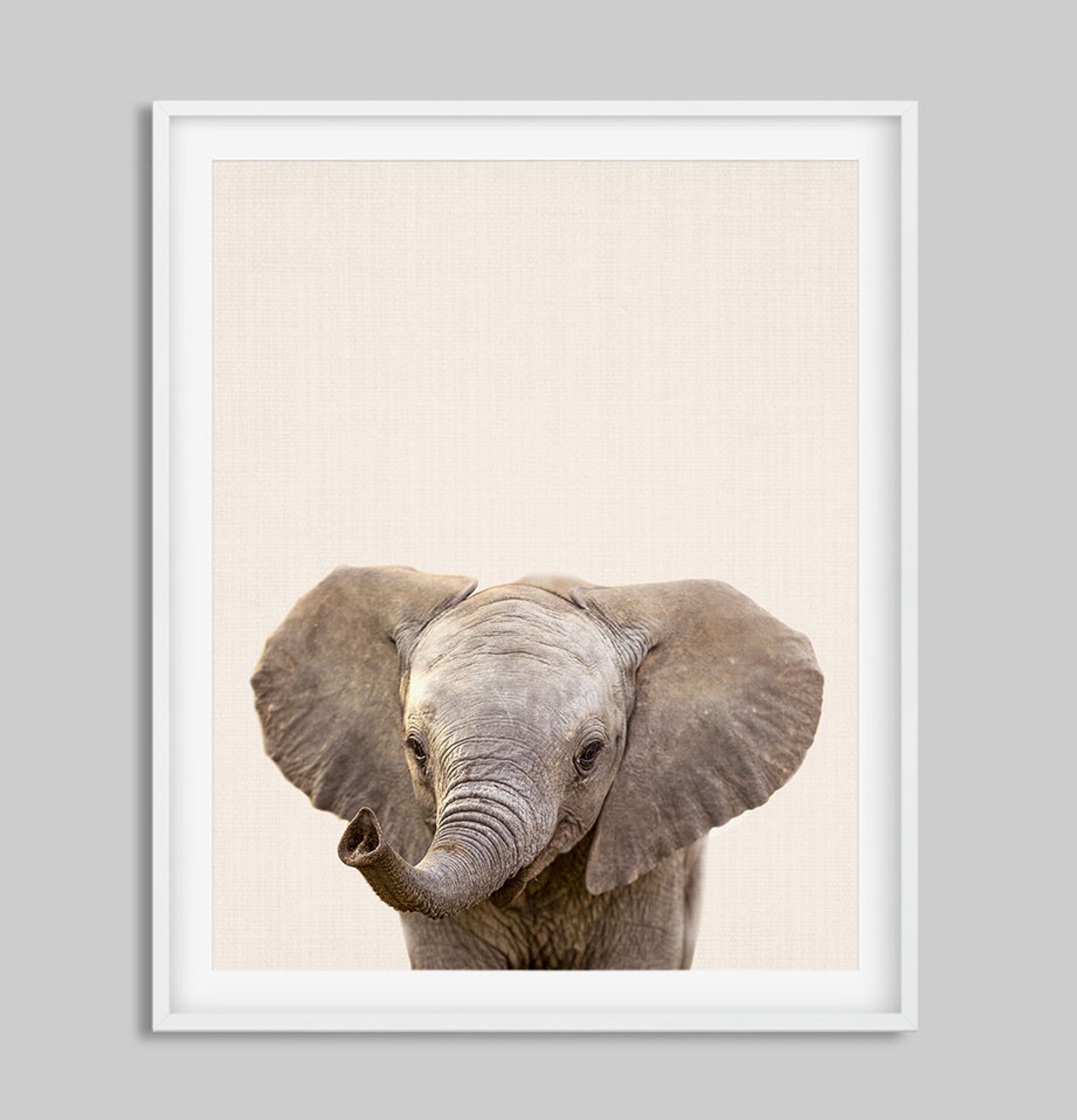 Elephant Print Baby Elephant Photo Nursery Animal Wall Art - Etsy