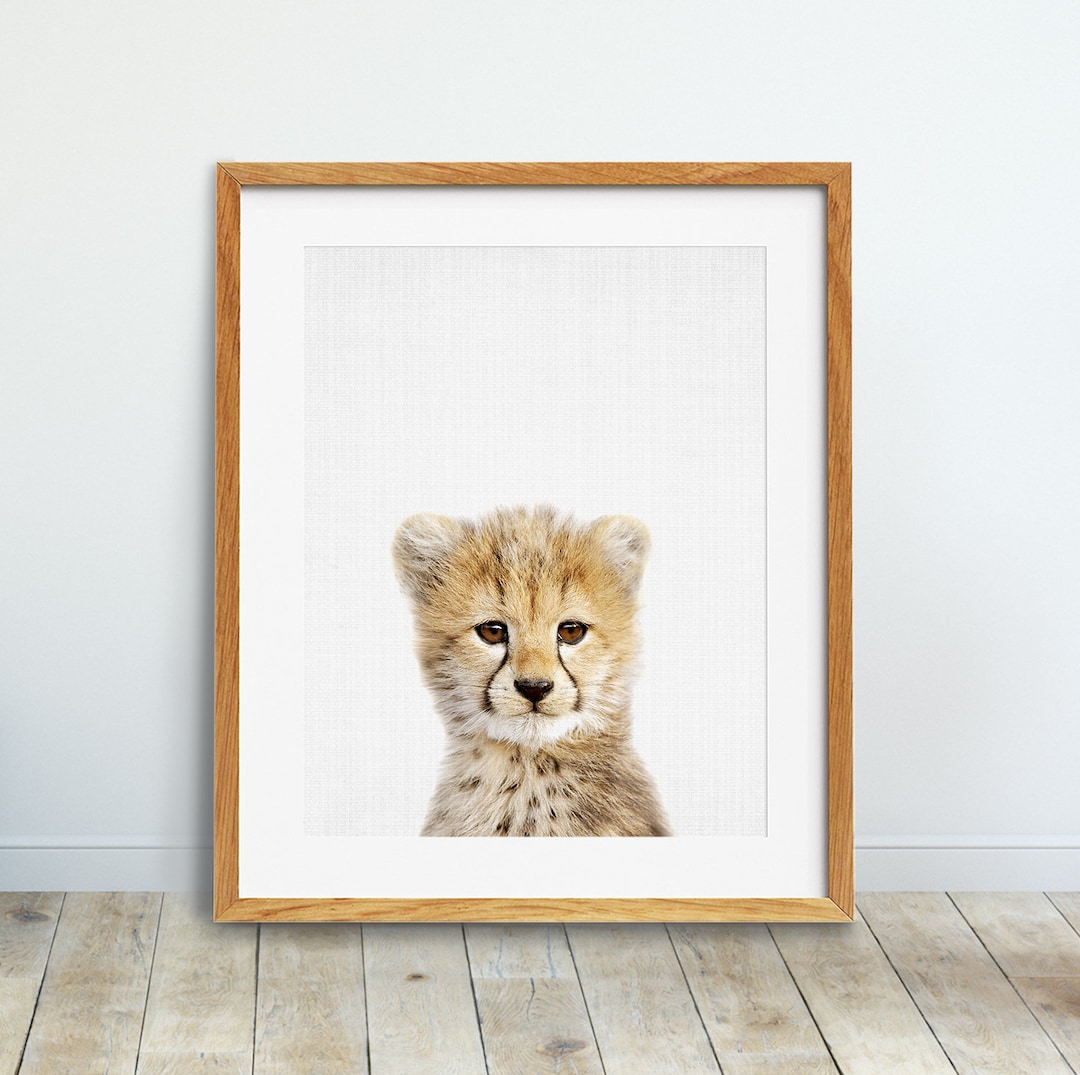 Cheetah Print, Cub Cheetah Print, Safari Decor, Baby Cheetah Poster ...