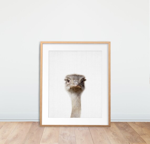 Ostrich Wall Decor Nursery Wall Art Ostrich Poster Ostrich Watercolor ...