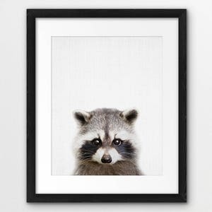Raccoon Print, Woodlands Nursery Wall Art, Baby Raccoon Poster, Forest ...