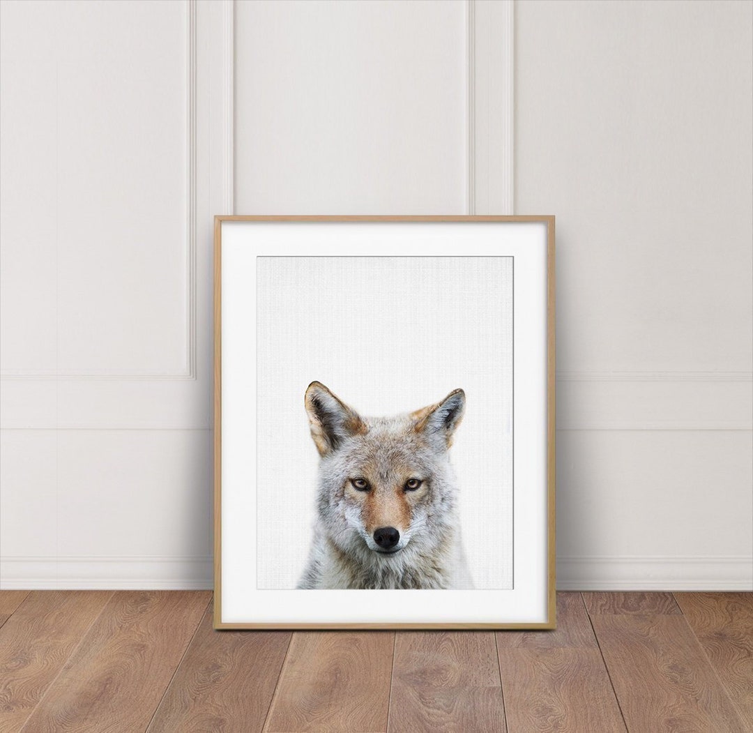 Coyote Print, Nursery Animals Wall Art, Woodland Animal Prints, Forest ...