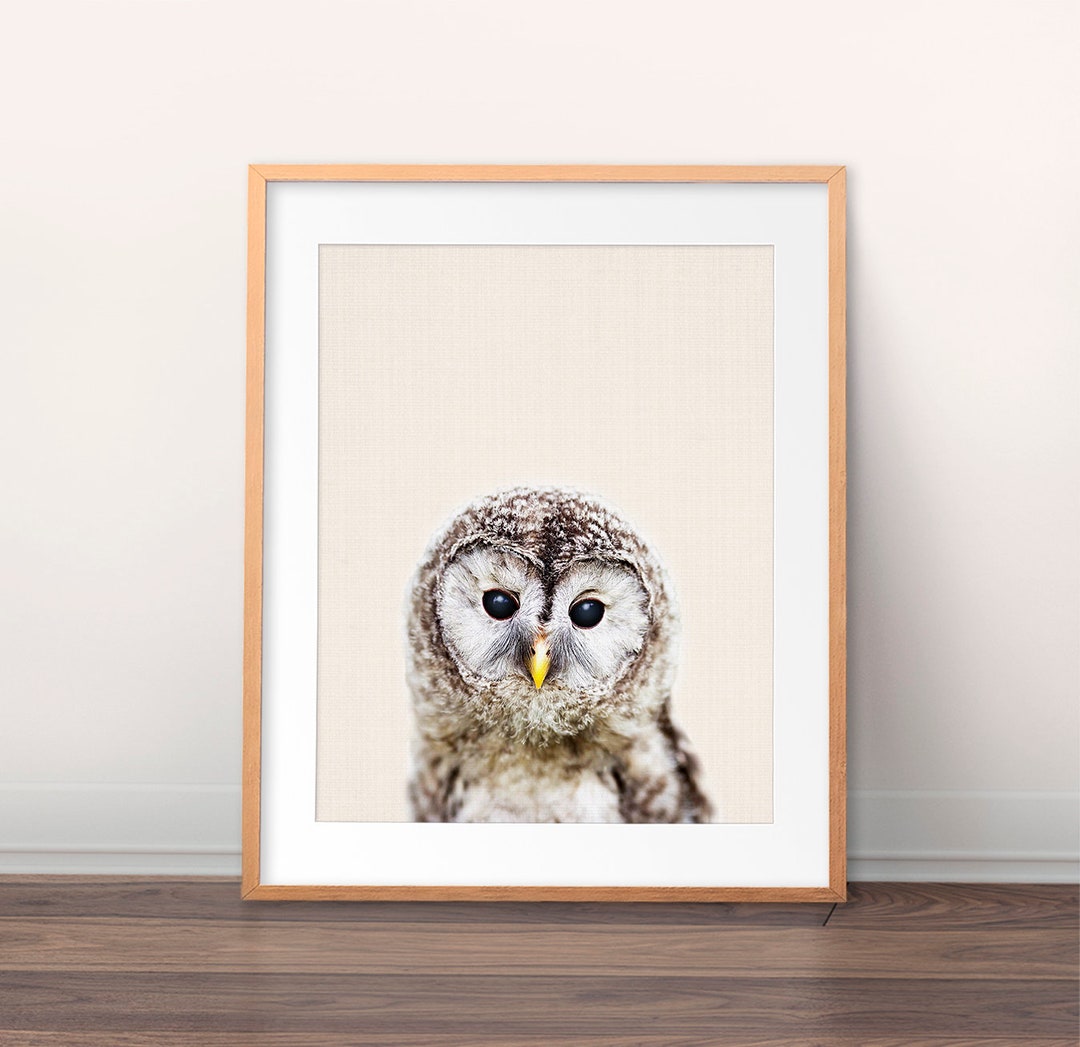 Eule Poster, Kinderzimmer Wandkunst, Baby Eule Poster, Waldtiere Poster ...