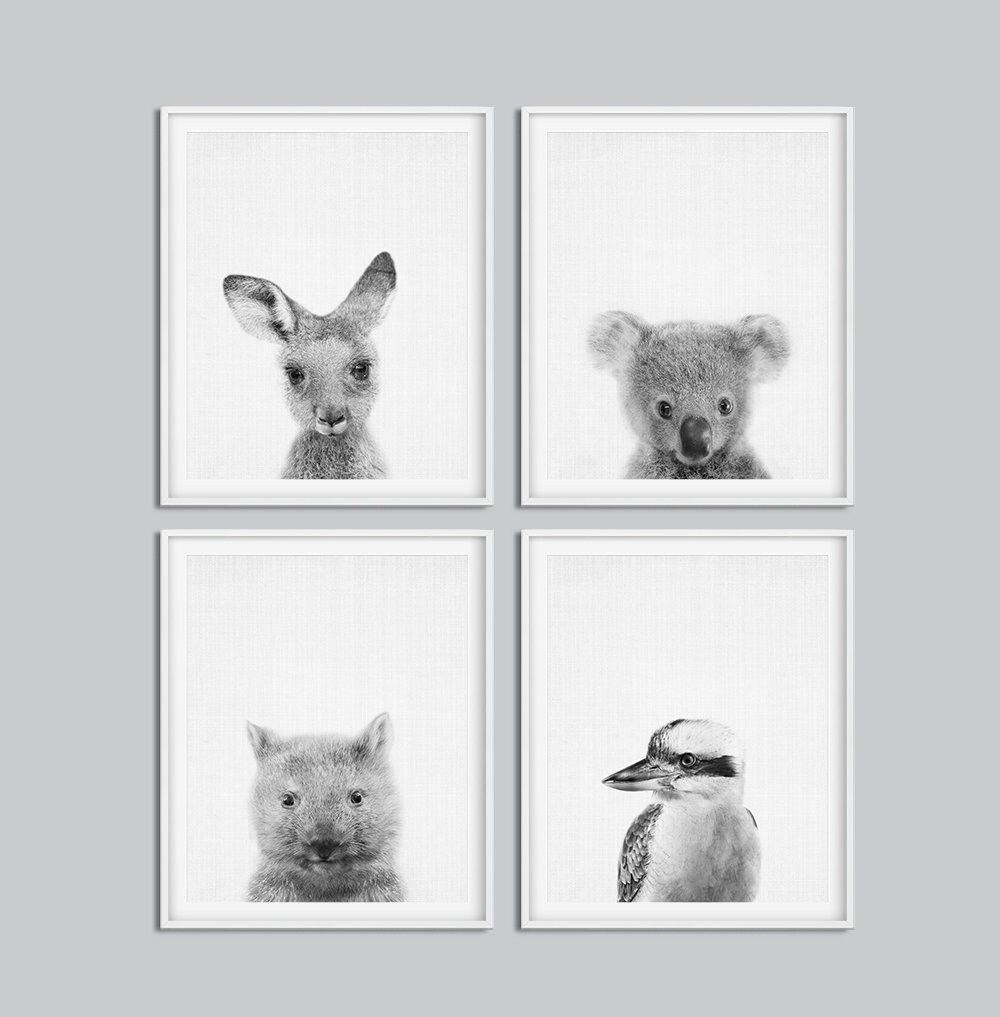 Australian Animals Print, Black White Baby Animals Set of 4, Koala ...