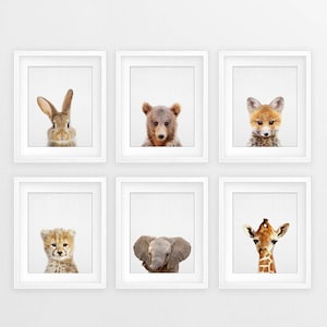 Nursery Animals Wall Art, Baby Animals Set of 6, Bunny Fox Wolf Giraffe ...