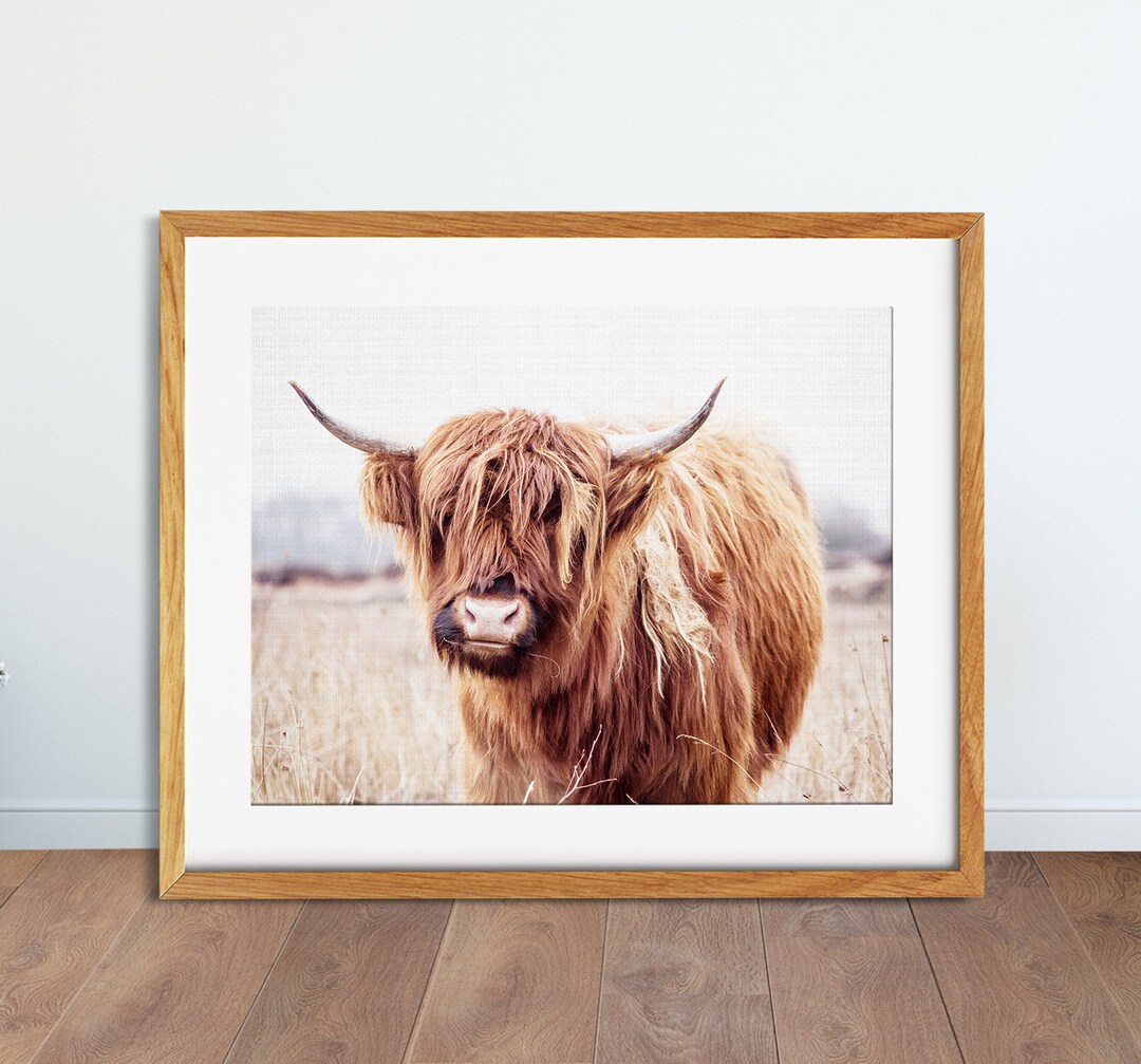 Highland Cow Print, Highland Cow Poster, Cow Wall Art, Highland Bull ...