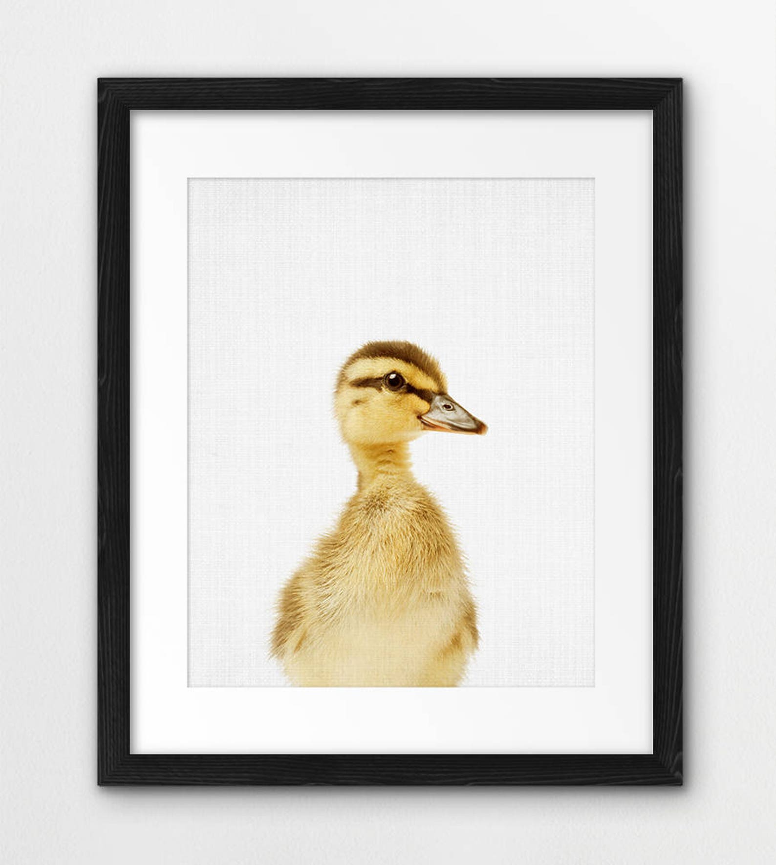 Duckling Print Nursery Animals Decor Baby Animals Wall Art - Etsy
