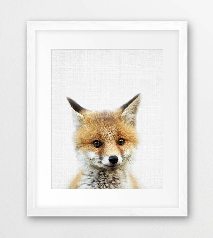 Fox Print Fox Pup Cub Kit Woodlands Nursery Wall Art | Etsy