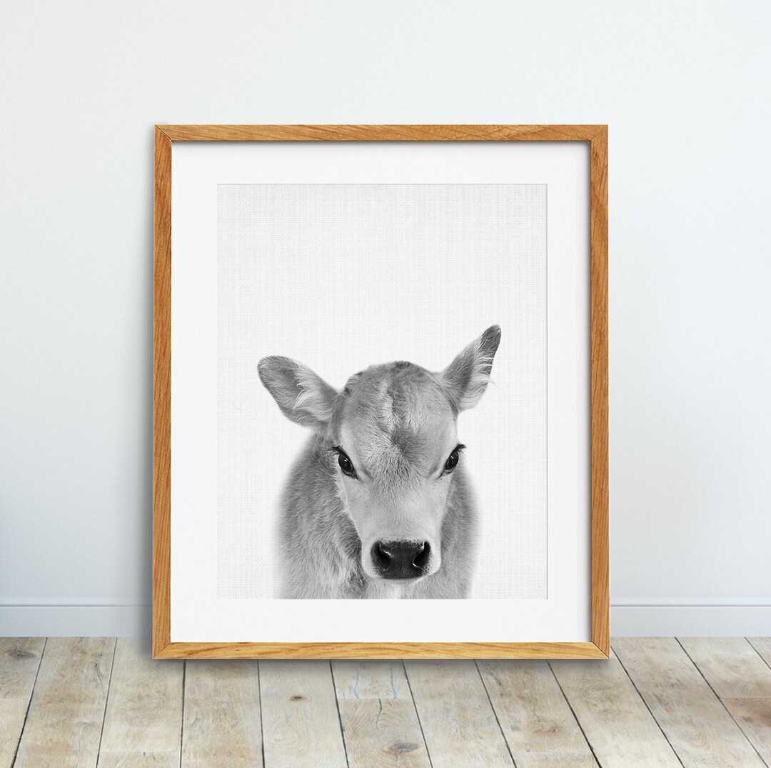 Calf Print, Baby Cow, Nursery Farm Animal Wall Art, Black and White ...