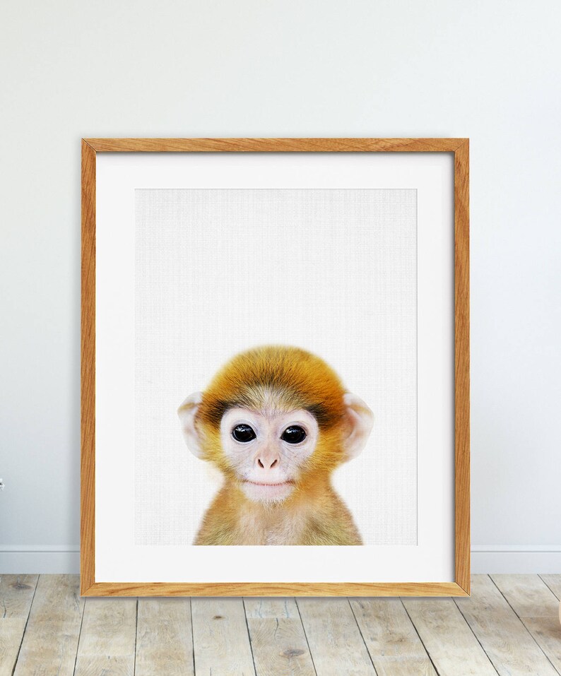 Monkey Print Nursery Animal Wall Art Baby Monkey Poster - Etsy