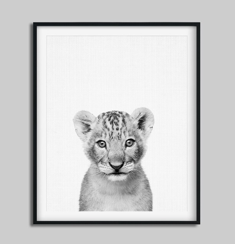 Lion Cub Print Nursery Animal Wall Art Safari Animals Decor - Etsy