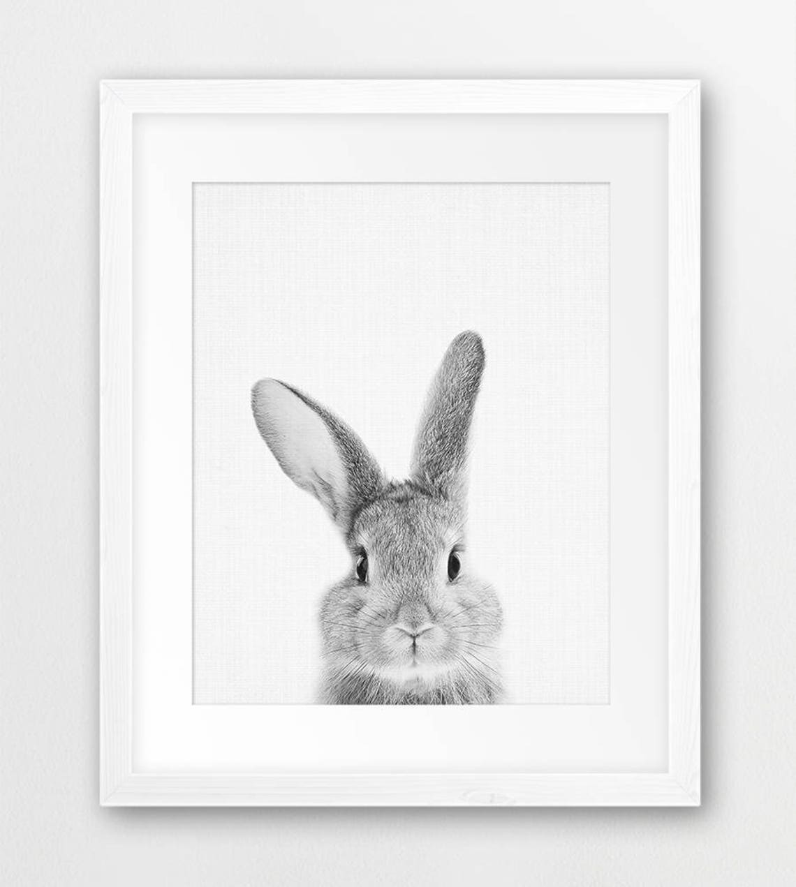 Rabbit Print Nursery Animal Wall Art Woodland Animals - Etsy