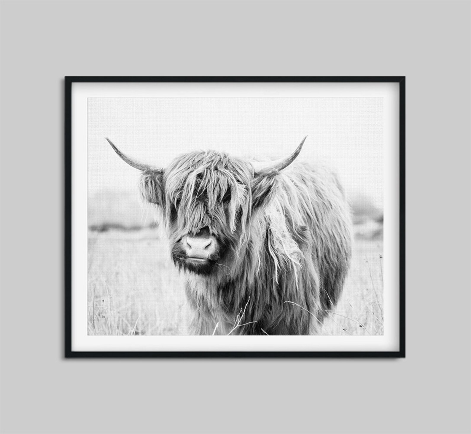 Highland Cow Print Highland Cow Poster Black And White | Etsy