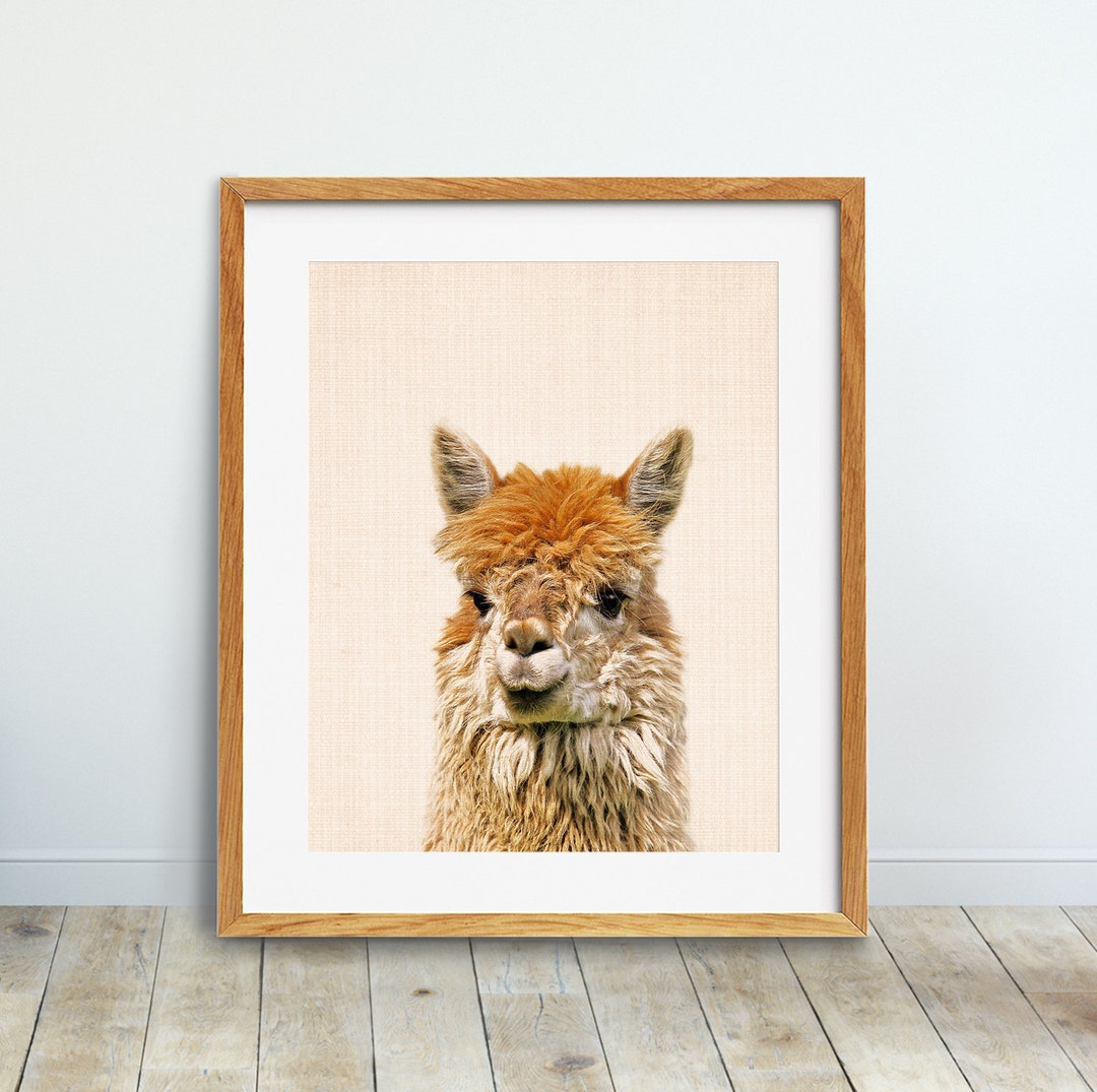 Alpaca Print, Nursery Animal Wall Art, Alpaca Poster, Lama Print ...