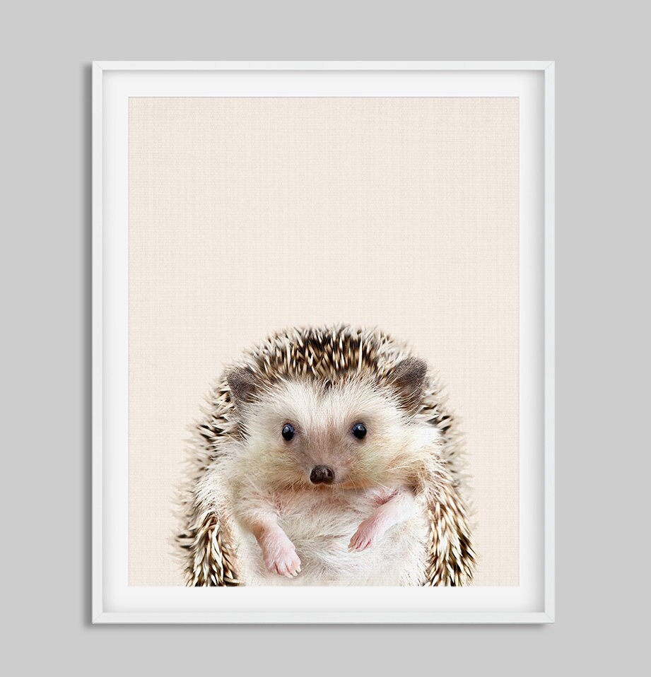 Hedgehog Print Woodlands Nursery Wall Art Forest Animals | Etsy