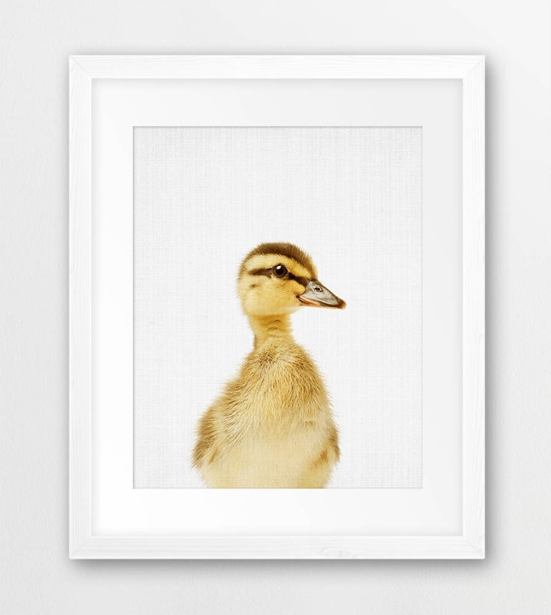 Duckling Print Nursery Animals Decor Baby Animals Wall Art - Etsy
