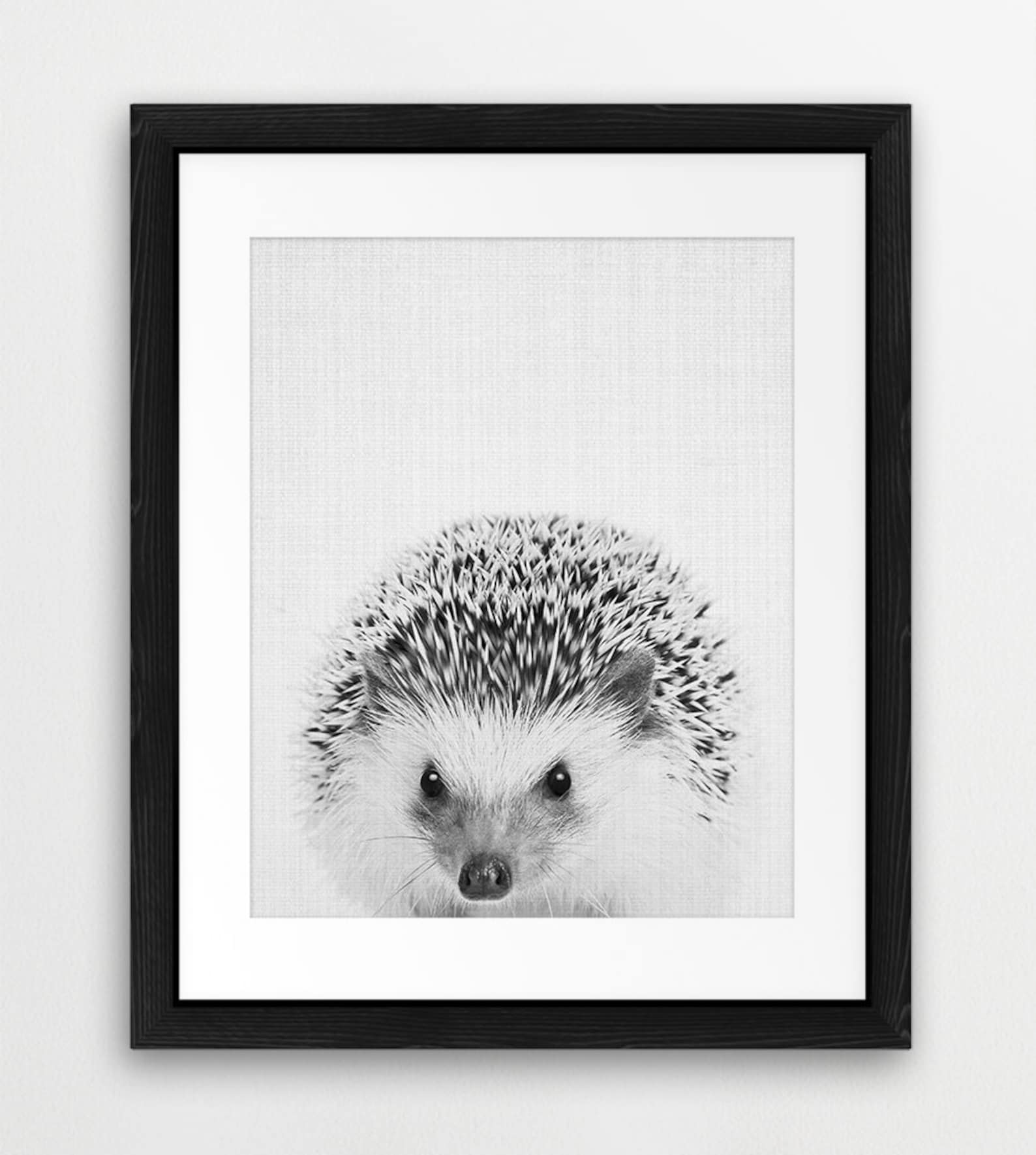 Hedgehog Print Woodlands Nursery Wall Art Hedgehog Photo | Etsy