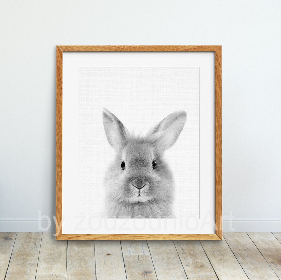 Bunny Print, Nursery Animal Wall Art, Bunny Art Print, Black and White ...