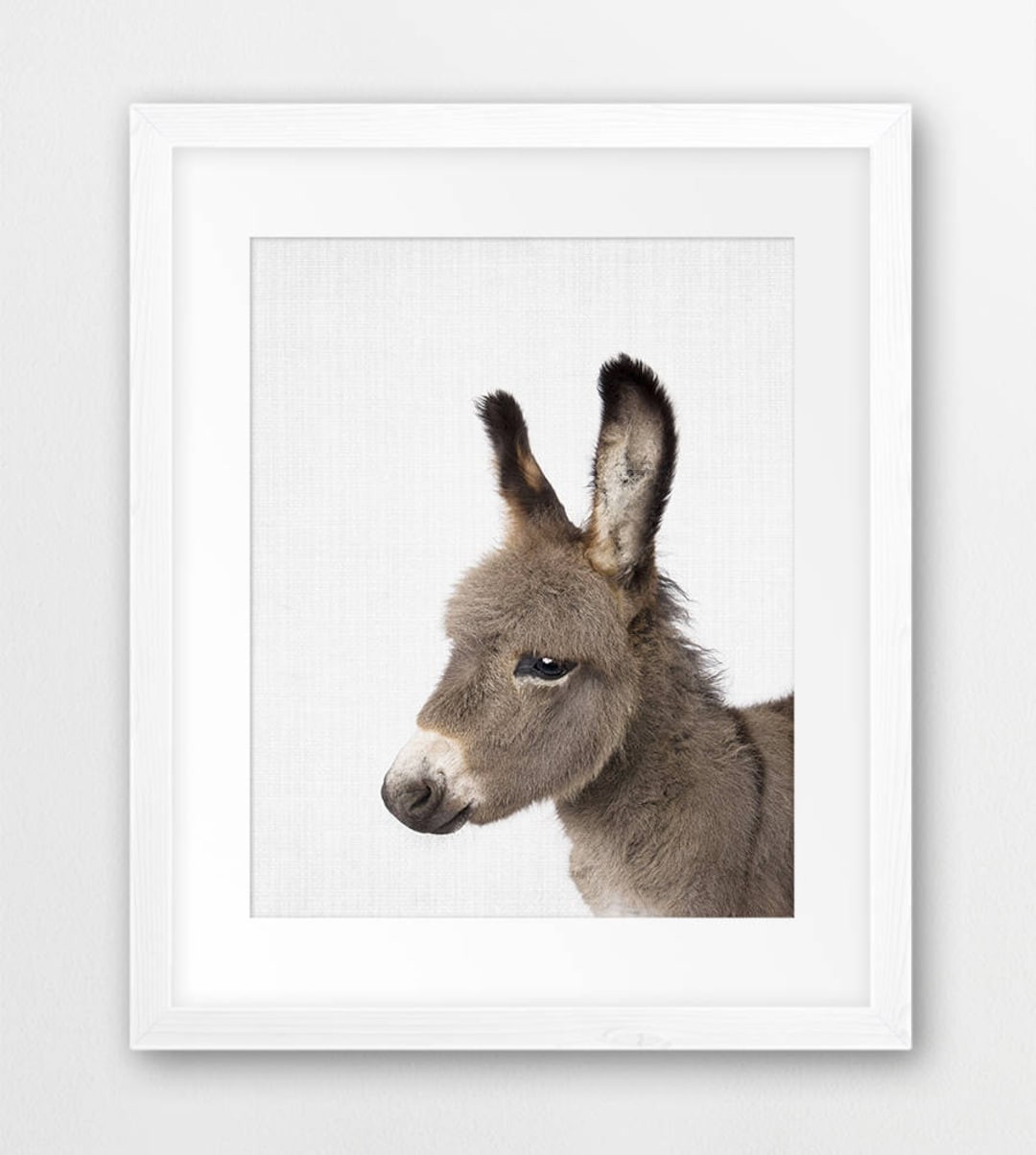 Donkey Print, Nursery Wall Art, Farm Animal Poster, Baby Donkey ...