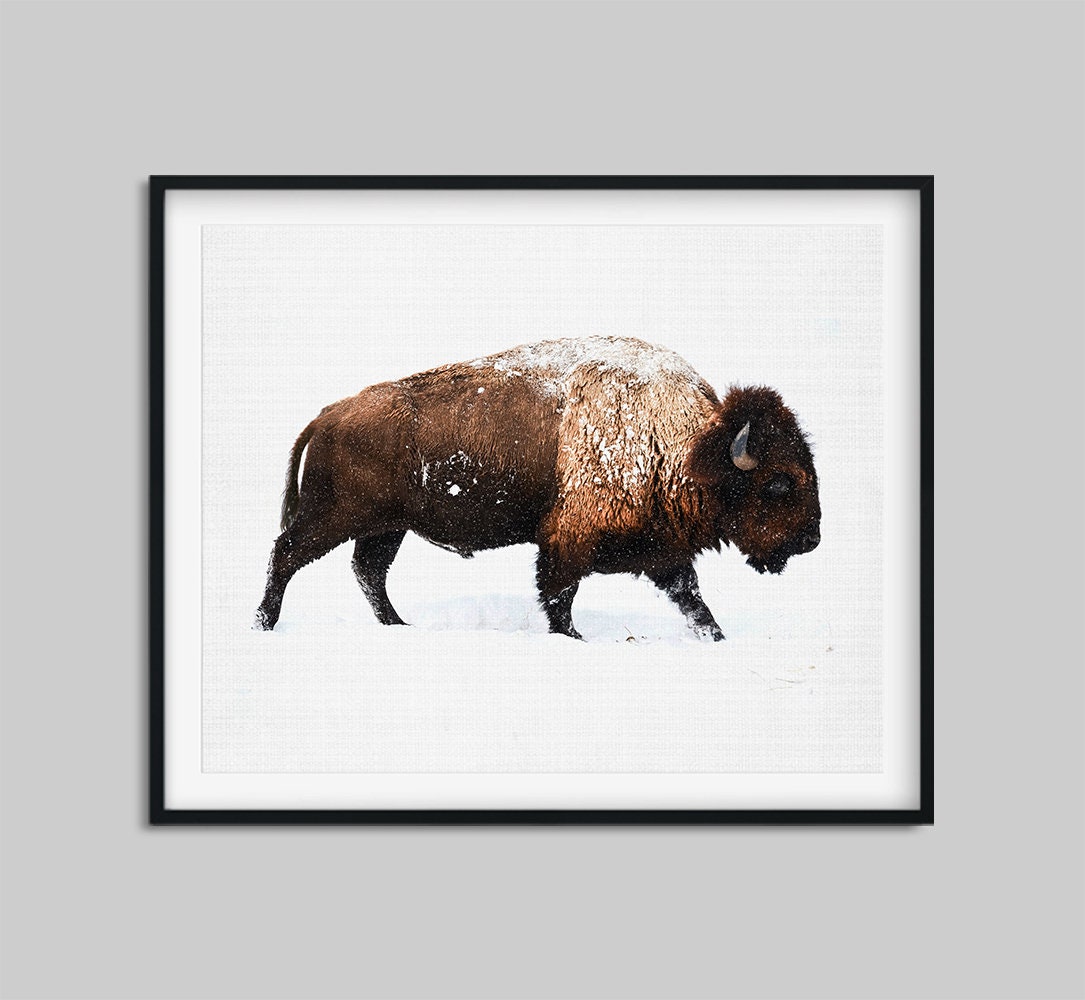 Bison Print Winter Bison Wall Art Nursery Animals Print | Etsy
