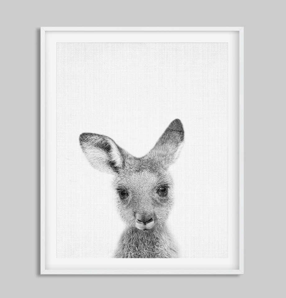Australian Animals Print, Black White Baby Animals Set of 4, Koala ...