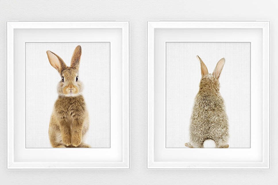 Rabbit Print Set Nursery Animal Wall Art Woodland Animals | Etsy