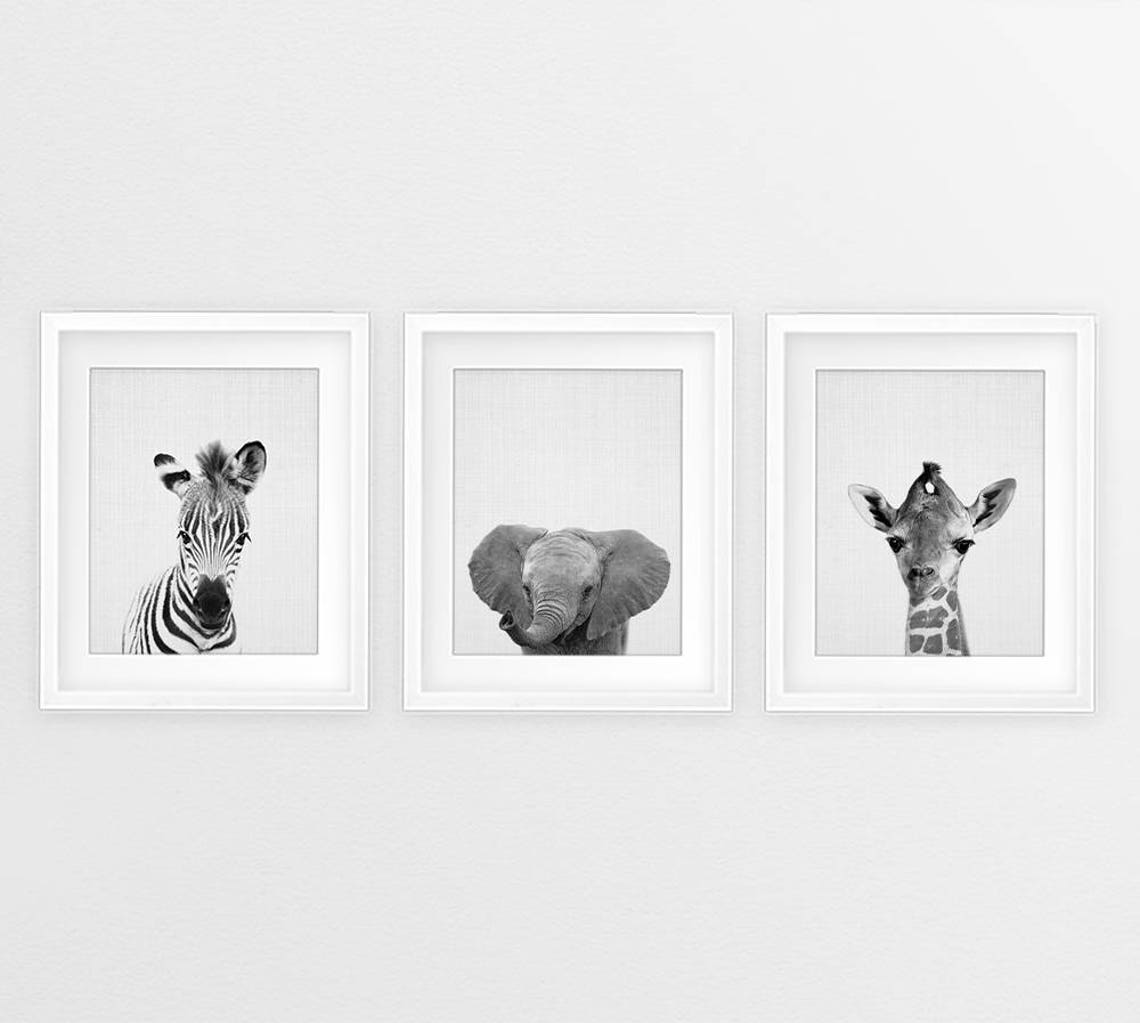 Safari Nursery Decor Baby Animals Set 3 Zebra Elephant | Etsy