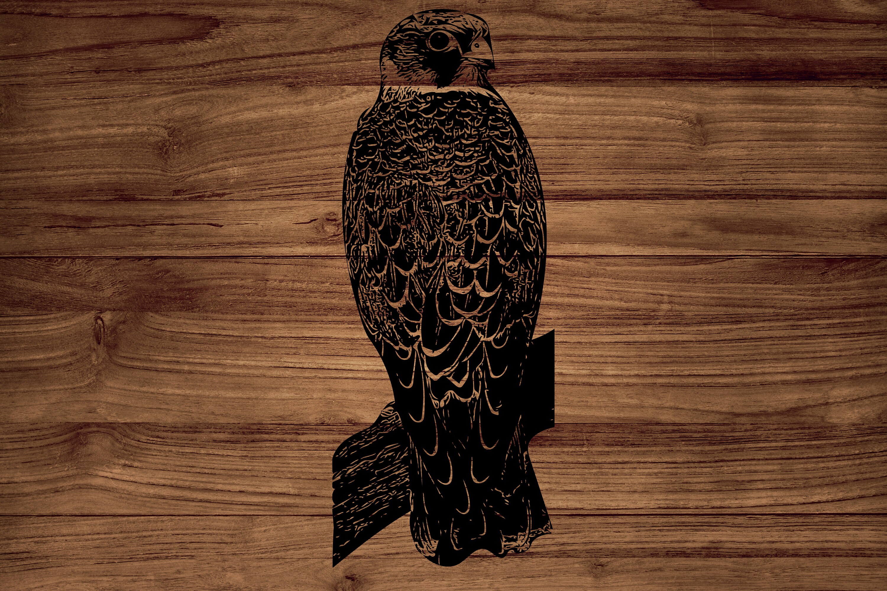 Hawk on a Limb Digital Download Svg Png Dxf Jpeg Files - Etsy