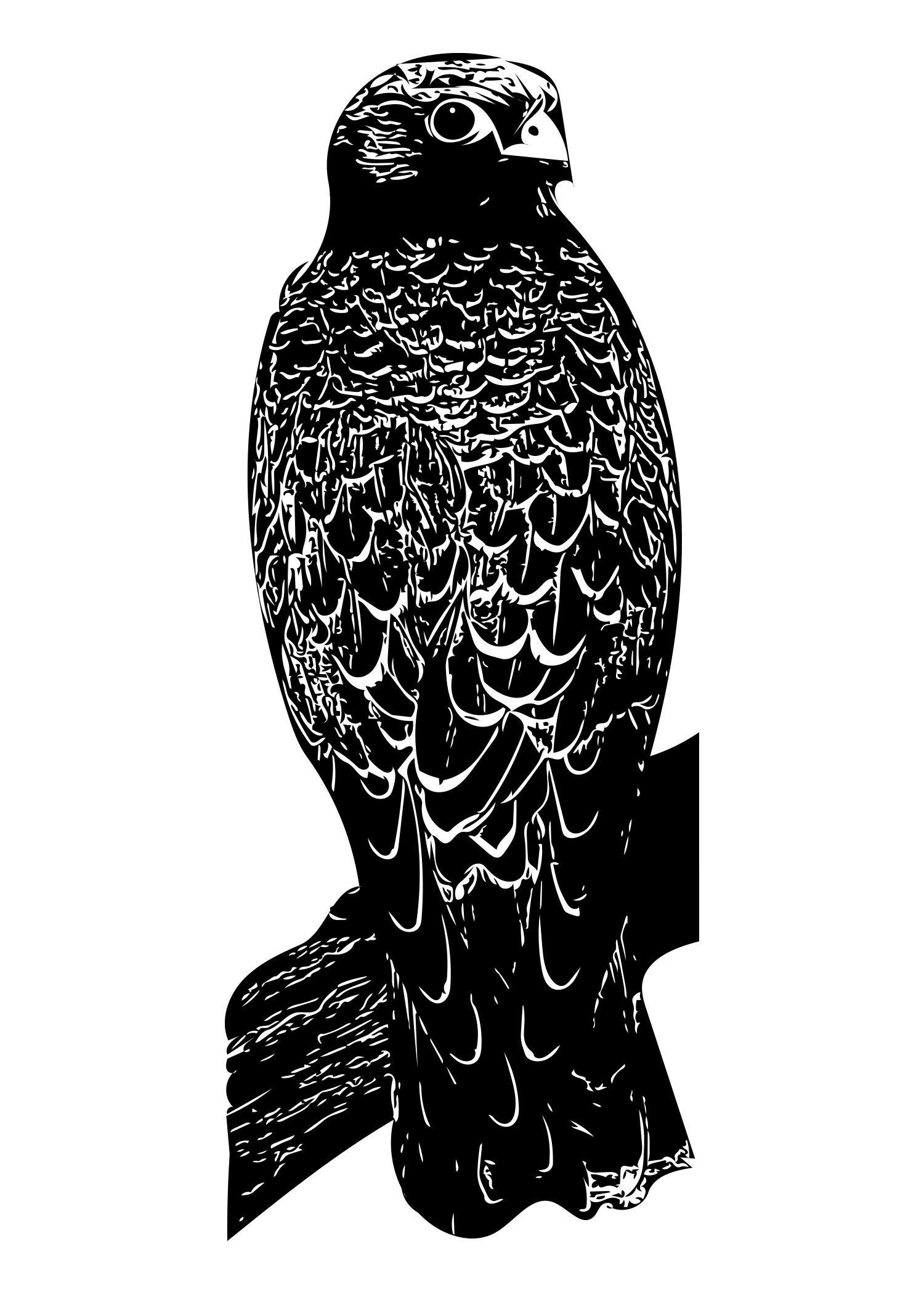 Hawk on a Limb Digital Download Svg Png Dxf Jpeg Files - Etsy