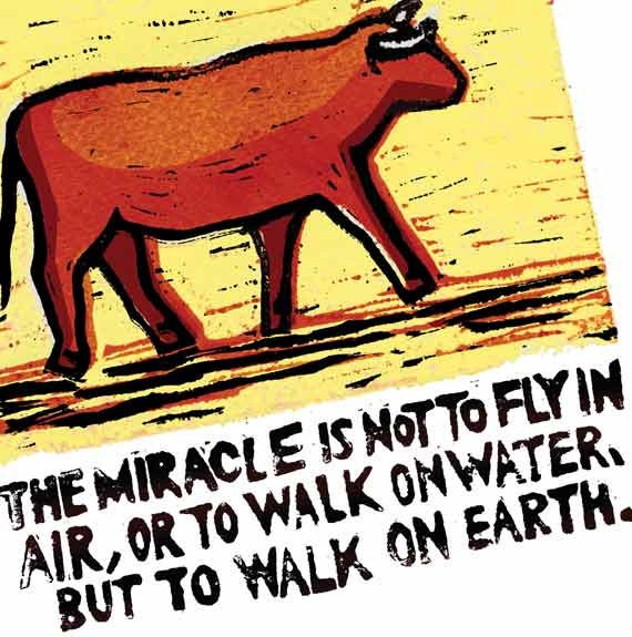 Proverb Card 13: the Miracle is Not to Fly in Air, or to Walk on Water ...