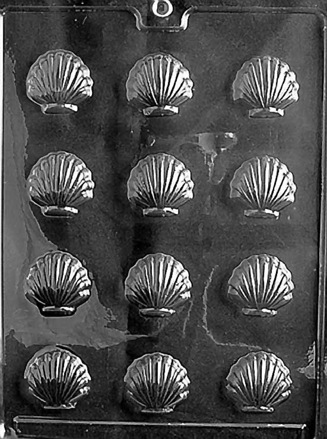 Nautical Clam Shell Cupcake Toppers/pieces Dim 1 1/4 X 1 3/8 X 3/8 Deep ...