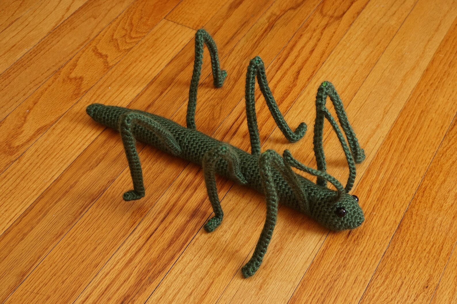 Cute Stick Bug - Etsy