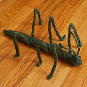 Cute Stick Bug - Etsy
