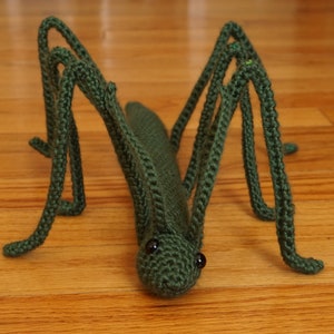 Cute Stick Bug - Etsy