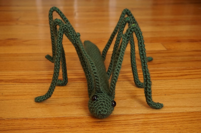 Cute Stick Bug - Etsy