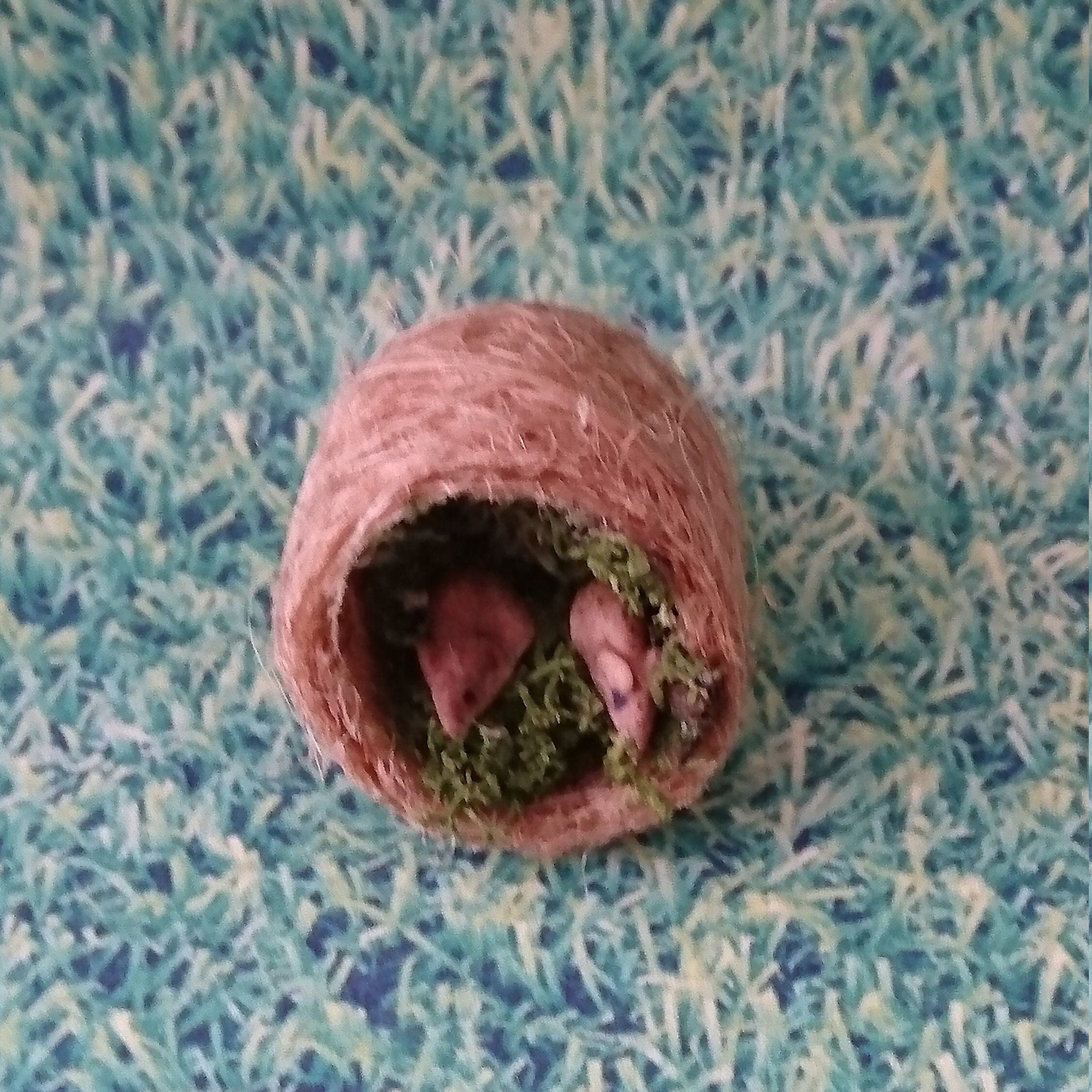 Dollhouse Miniature Harvest Mouse House Handmade - Etsy