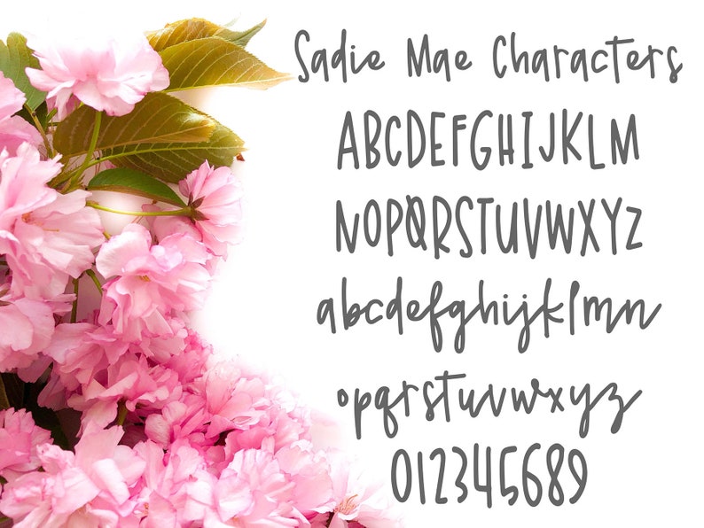 Sadie Mae Font - Cute and Girly Font! - Etsy