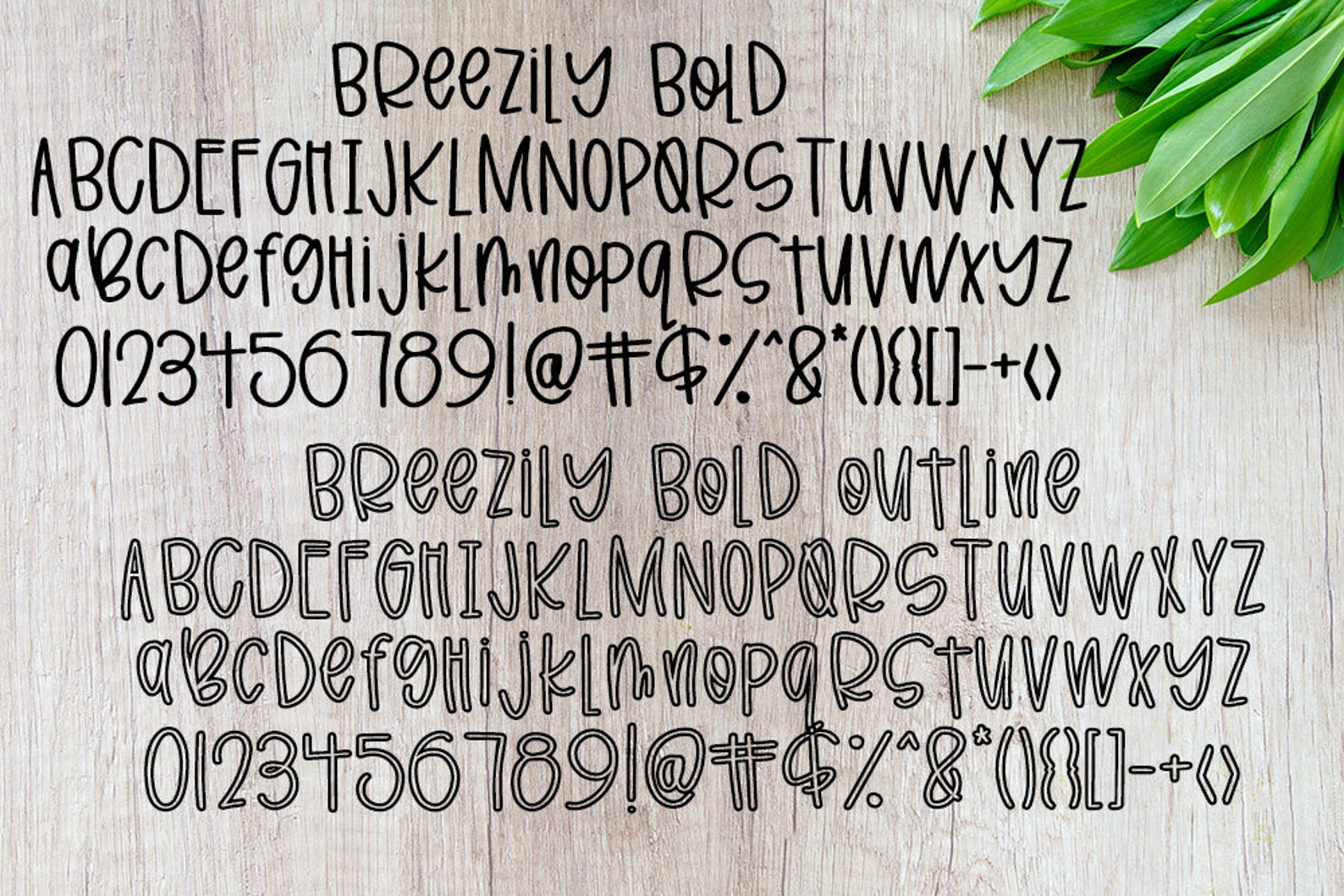 Breezily Handwritten Font 4 Font Styles Included Monoline - Etsy
